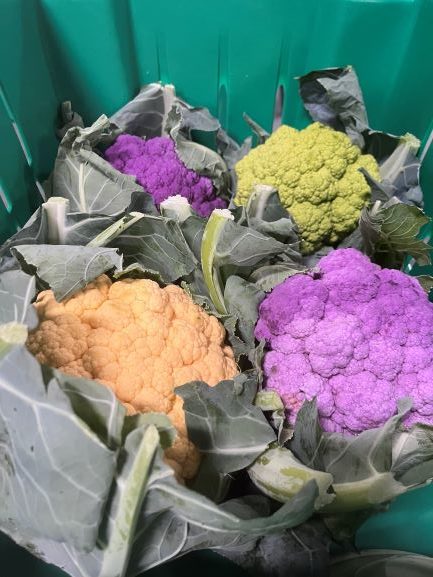Mixed Cauliflower (Case) - Galimax Trading Inc.